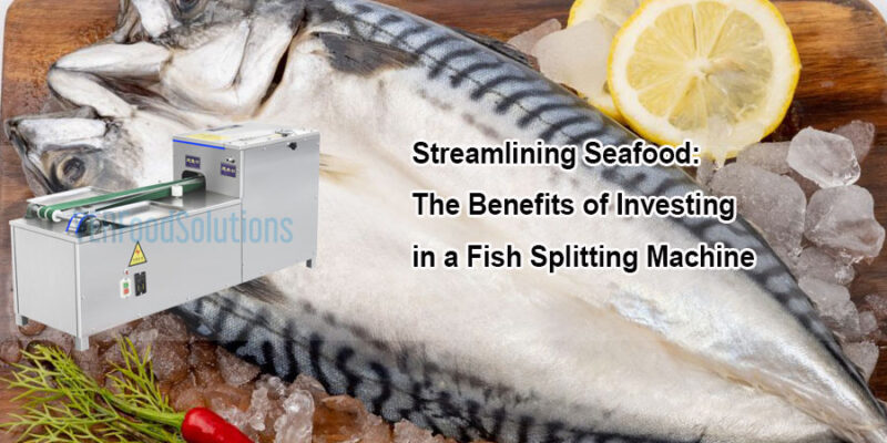 The Benefits of Investing in a Fish Processing Machine
