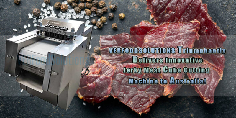VER Delivers Jerky Meat Cube Cutting Machine to Australia
