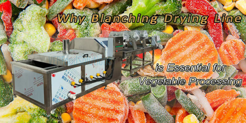 Why Blanching Drying Line Is Key in Veg Processing