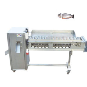 Fish Head Cutting Machine - VER Food Solutions