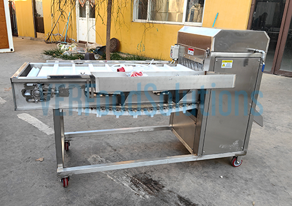 top-9-reasons-to-invest-in-a-fish-portioning-machine-for-your-fish ...