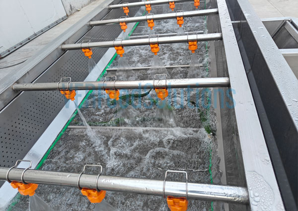 Air Bubble Water Spraying Fruit Vegetable Washer for Belarus