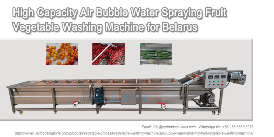 Air Bubble Water Spraying Fruit Vegetable Washer for Belarus
